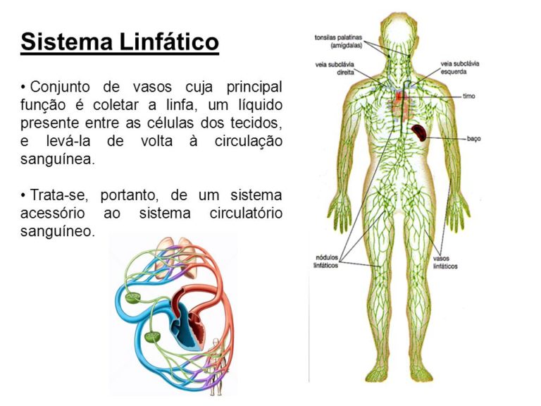 Saiba tudo sobre Drenagem Linfática - Villa Spa Zen